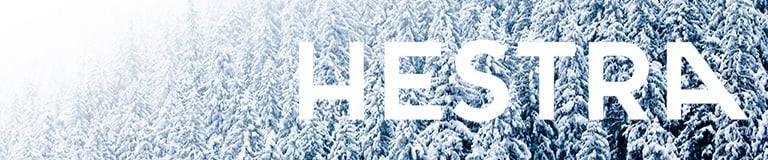 Hestra - Ski Snowboard Gloves & Mittens