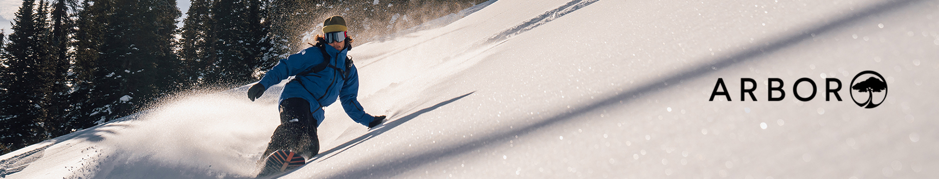 Arbor Collective - Snowboards, Longboards & Clothing | evo